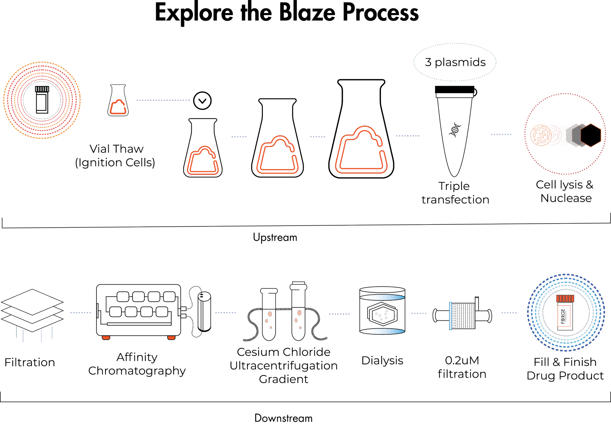 BLAZE - Forge Biologics