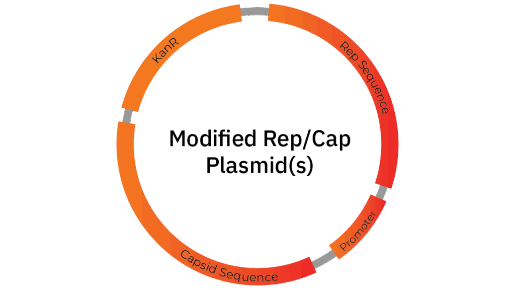 FUEL AAV Platform - Forge Biologics